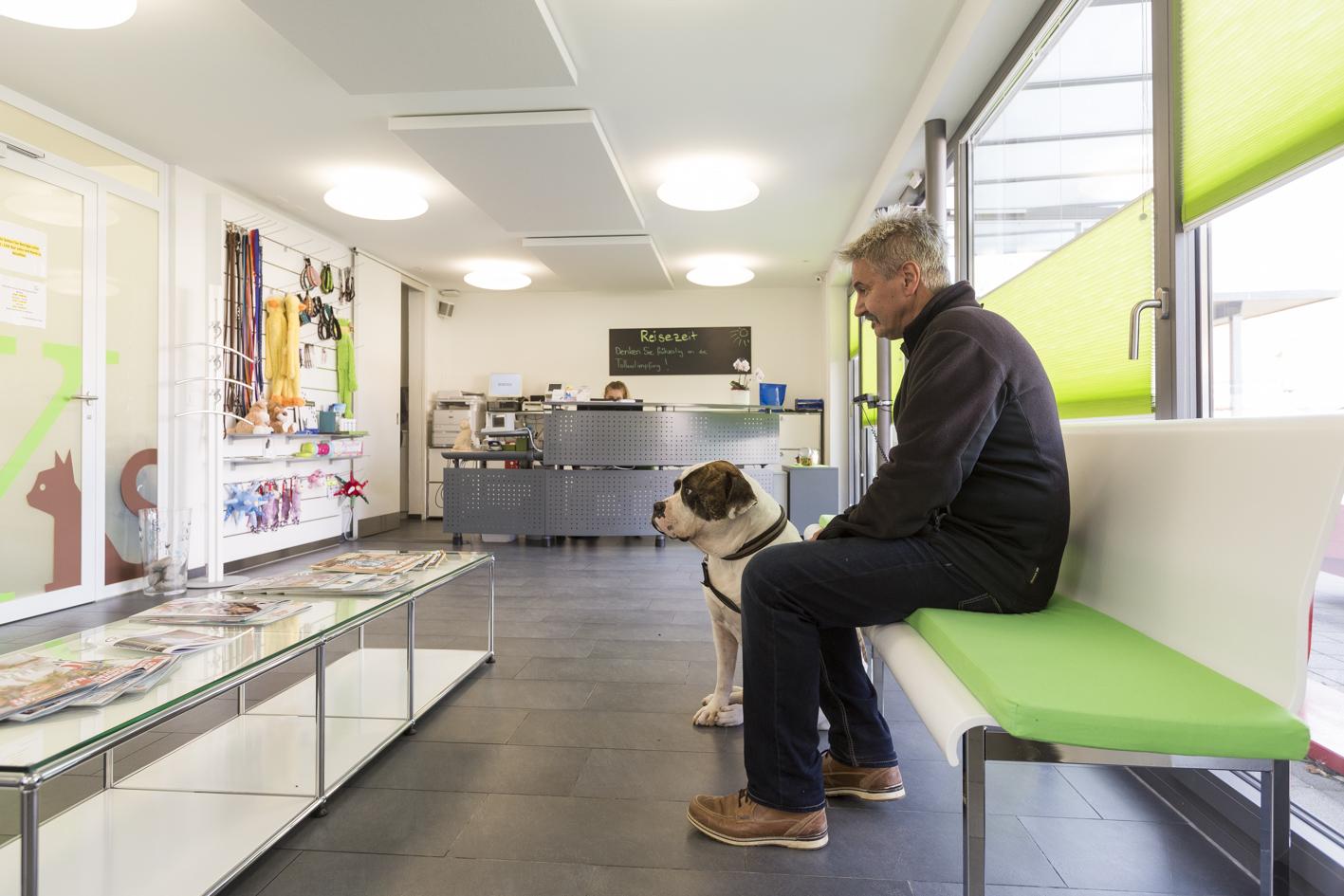 Fachgebiete | Tierpraxis Kleintierklinik S.